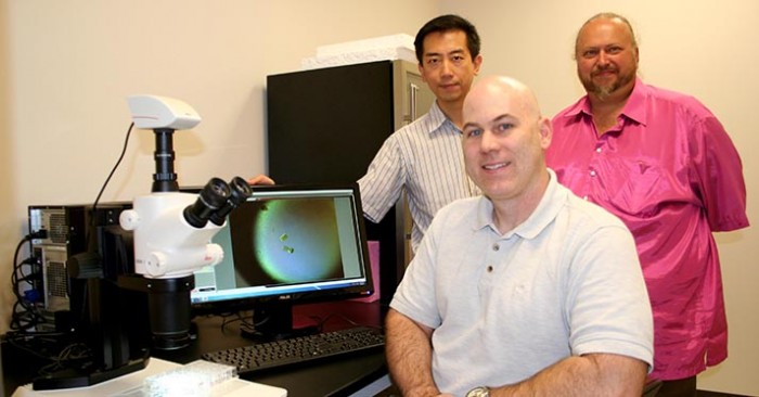 ITHS | Repurposing An Existing Drug for C. difficile Therapy