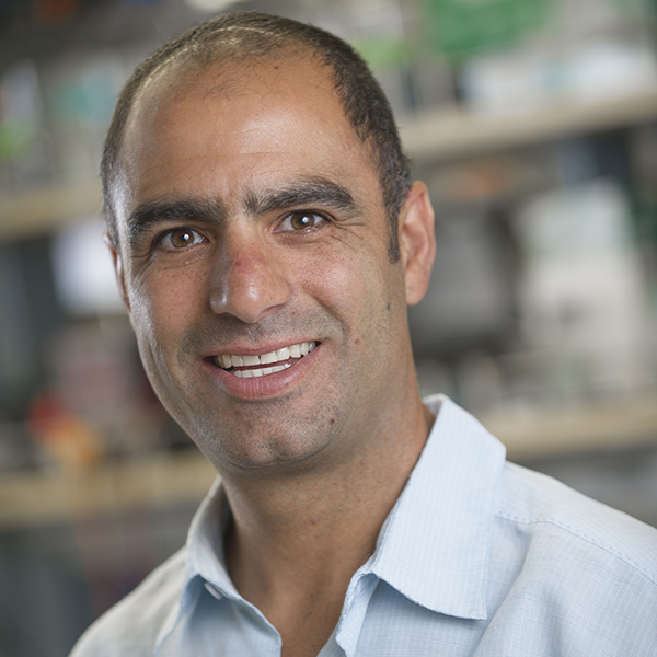 ITHS | Blake Wiedenheft, PhD