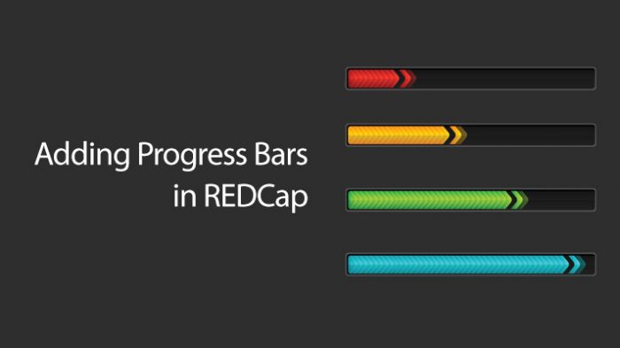 ITHS | Adding Progress Bars in REDCap
